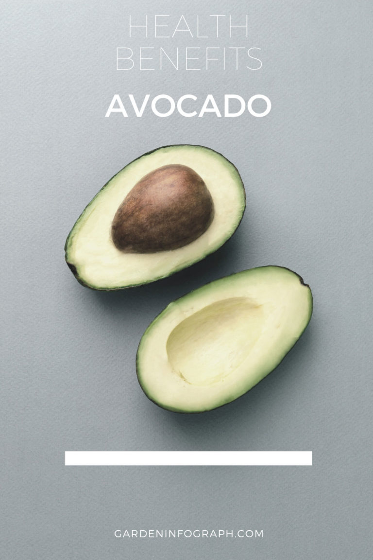 7 Health benefits of Avocado | Avocado nutrition - Garden infograph