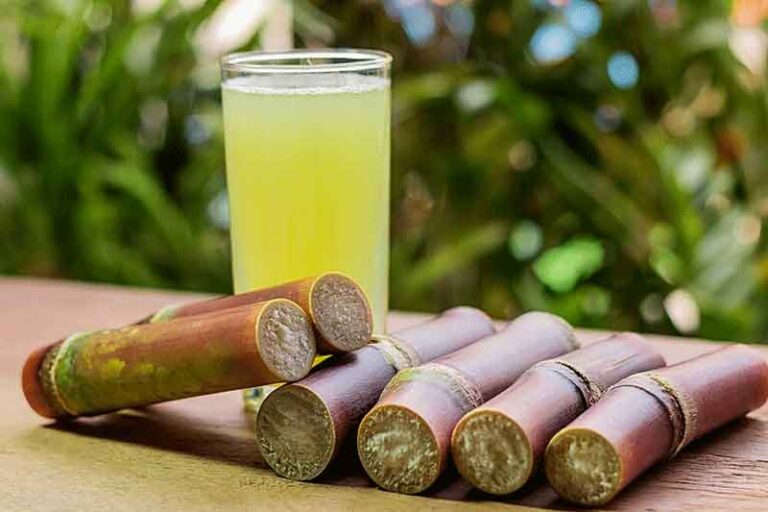 16 Health benefits of sugarcane (ganna) | Saccharum officinarum